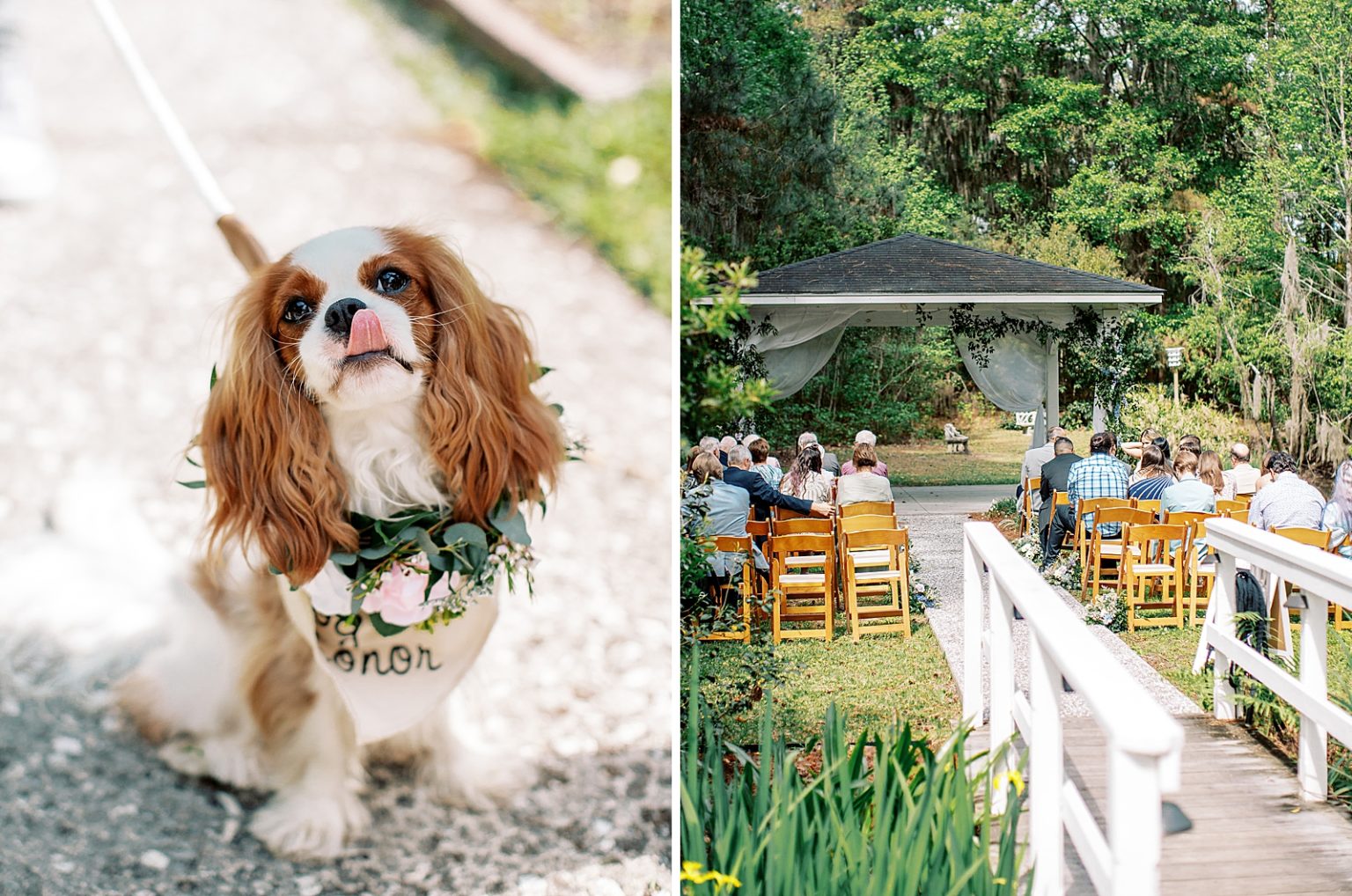 Savannah Botanical Gardens | Destination Wedding Planner Poppy + Lynn