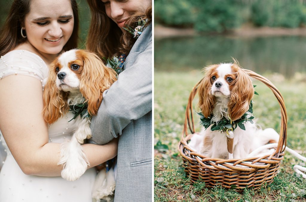 Savannah Botanical Gardens | Destination Wedding Planner Poppy + Lynn